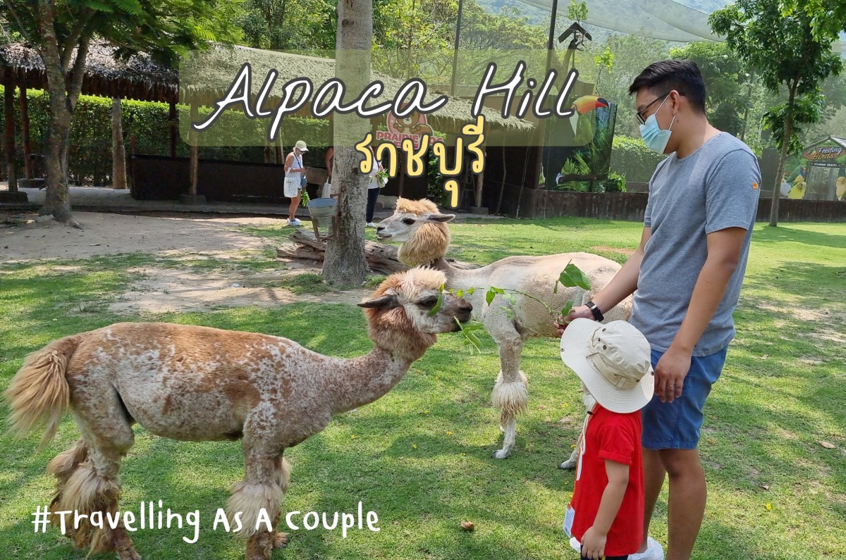 Alpaca Hill ที่ไม่ได้มีดีแค่อัลปาก้า – Travelling-As-A-Couple